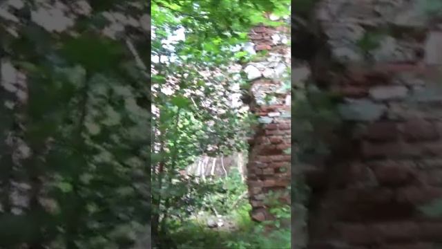 Руины двора Шембекoв short