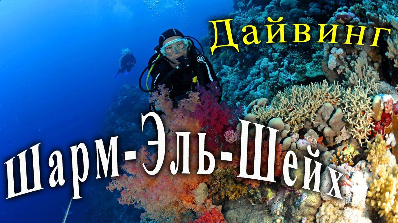 Красное море. Египет. Дайвинг. Июль 2022.