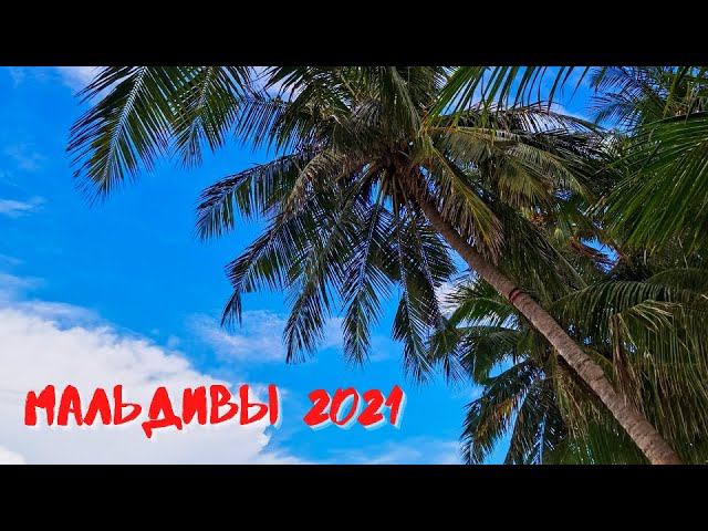 Мальдивы. Остров Fulidhoo. Декабрь 2021 г.
