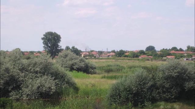 Из Плевенска Община /част 27/. Ясен.