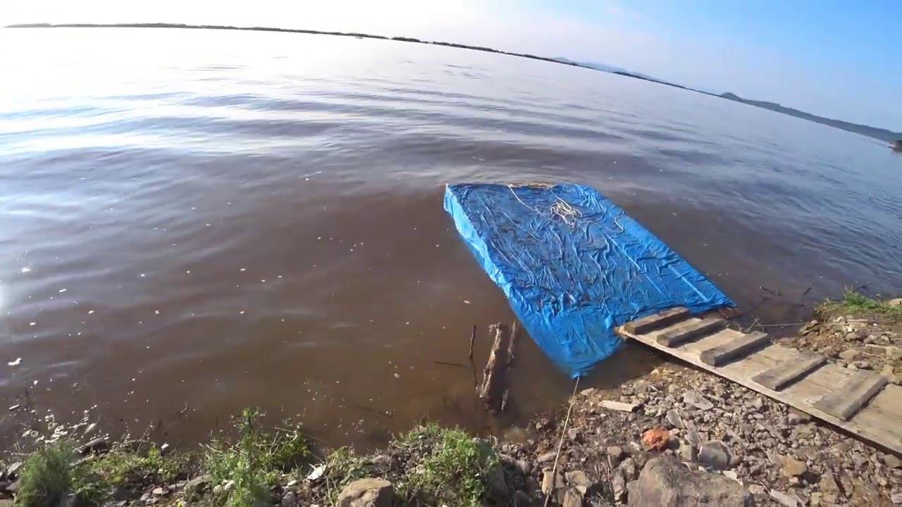 АБОРИГЕНКА. ОЖИДАЕМ НАВОДНЕНИЕ НА АМУРЕ 2020 г. ПАВОДОК. НАШИ ВНУЧКИ. ЖИЗНЬ В ДЕРЕВНЕ