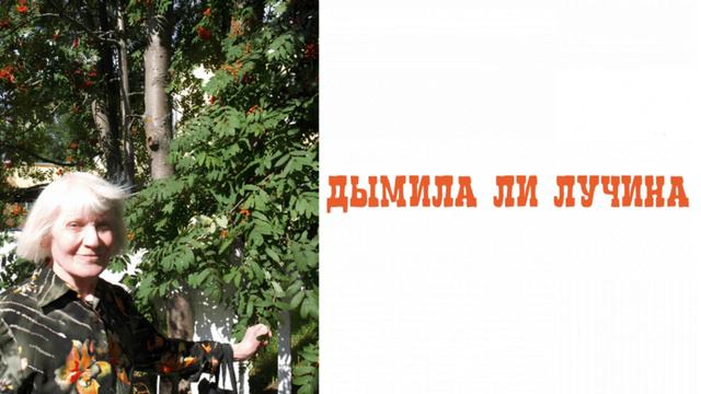 Дымила ли лучина