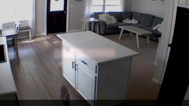 Скрытое наблюдение не удалось