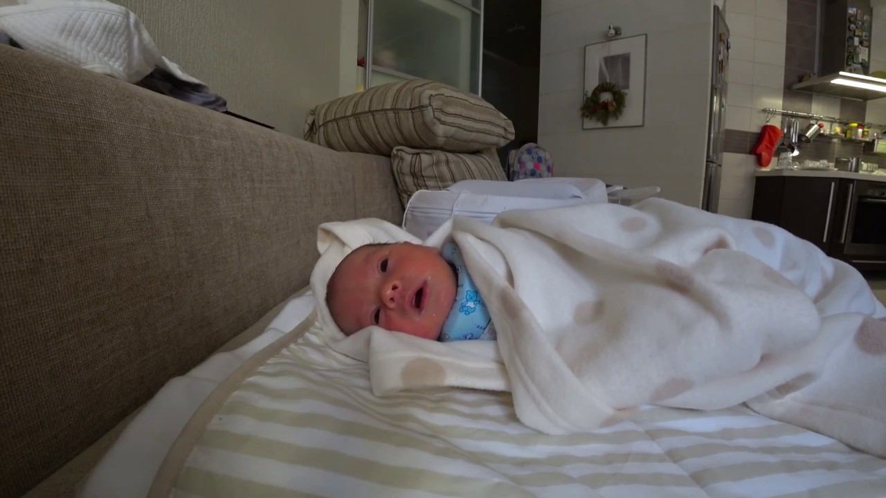 Шестой день жизни. Фрагменты.