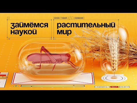 Растительный мир. Трейлер | Займемся наукой
