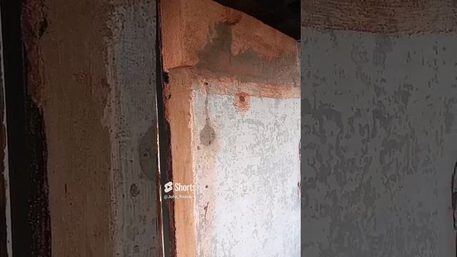 Проект "Баня". Подштукатурил стены 🧱