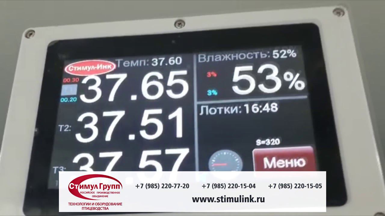 Инкубация яиц в инкубаторе Стимул ИП 8М1