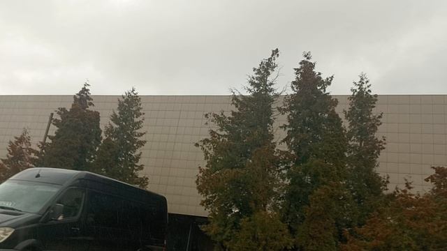 VID_20221029_113555.mp4