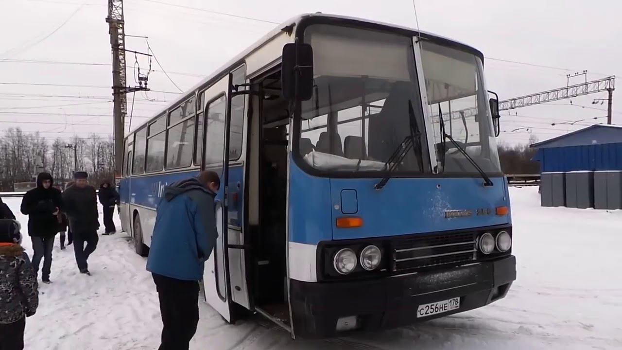 09. Яйца / Zimbra & дьячков Александр