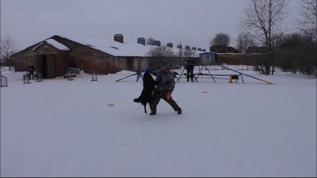 Вебстайл 2017 Дмитрий и грюнендаль Жулик.mp4