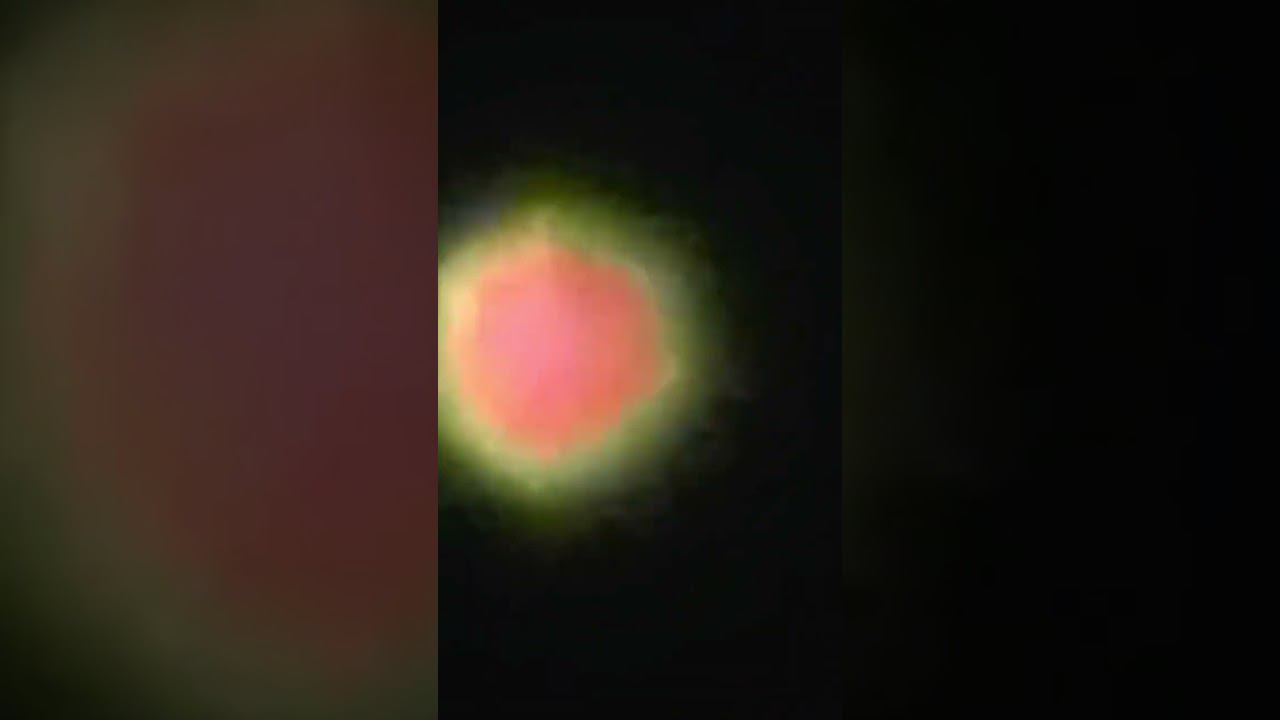 Бетельгейзе, звезда  24.03.2023 г.