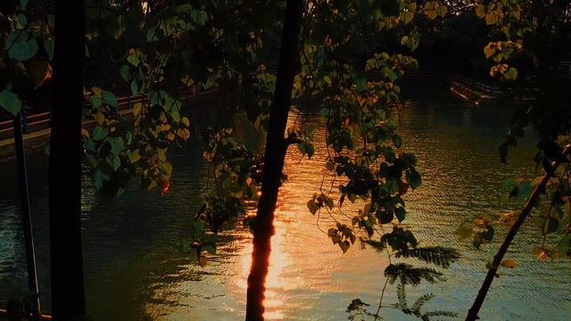 Rosalita by The Piano Says