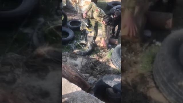 Малинуа бензопила