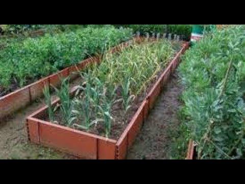 Наногрядка, увеличивает урожайность в разы