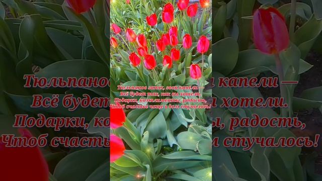 С ПРАЗДНИКОМ ВЕСНЫ!