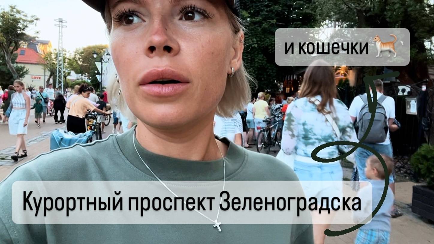 Зеленоградск | Курортный проспект | Кошачий район | Вечерняя прогулка