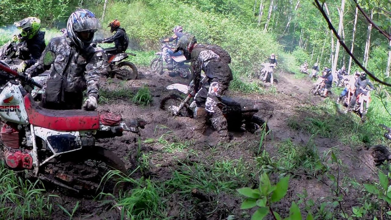 Прохват 2021 в Домодедово