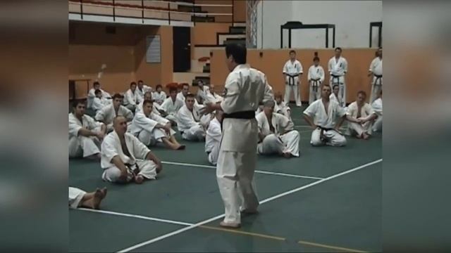 Ката Ён Теншо