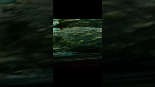 океанариум СПБ Питер