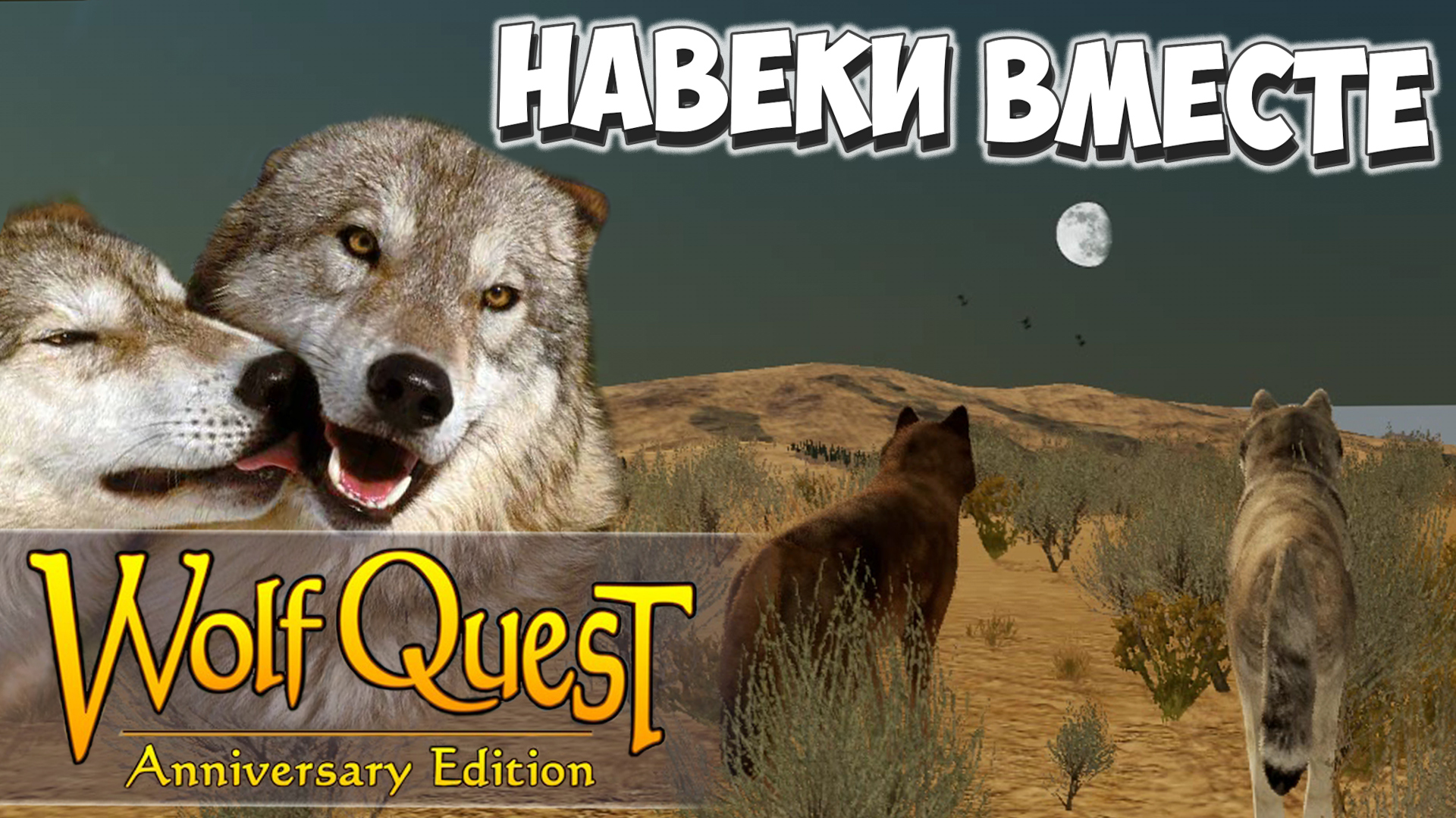 Обручённые кроликом! WolfQuest: Anniversary Edition #5
