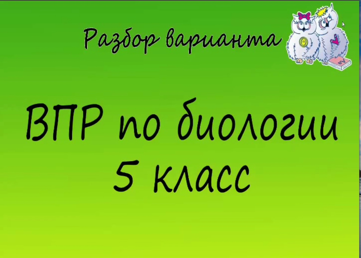 Биология. Разбор варианта ВПР по биологии 5 класс. Вариант 1