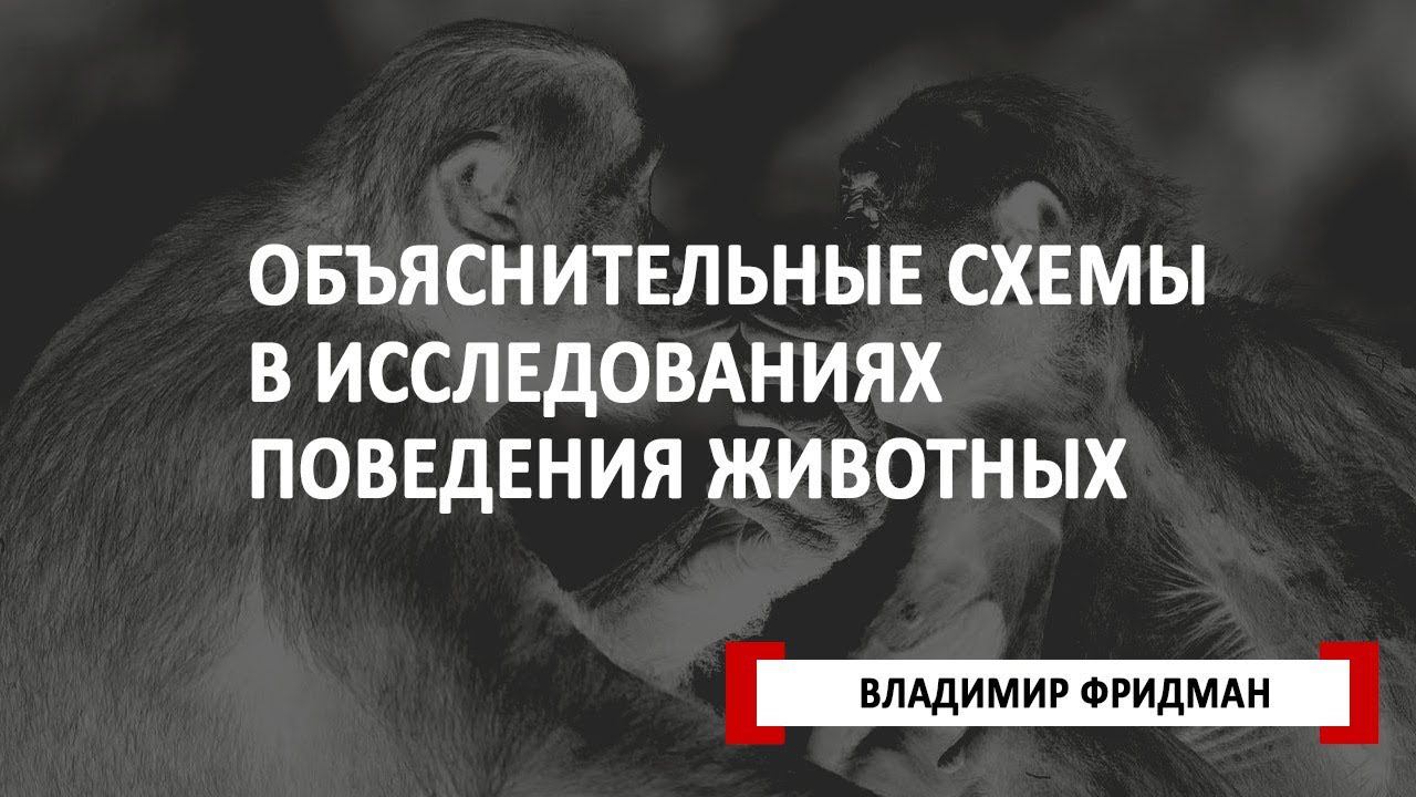 Объяснительные схемы в исследованиях поведения животных