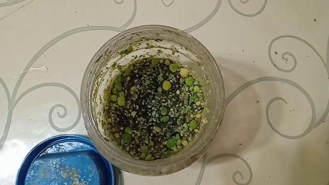 БАТАТ -это ЧТО ?
 Неудавшийся эксперимент Начало 6 февраля 2022 года