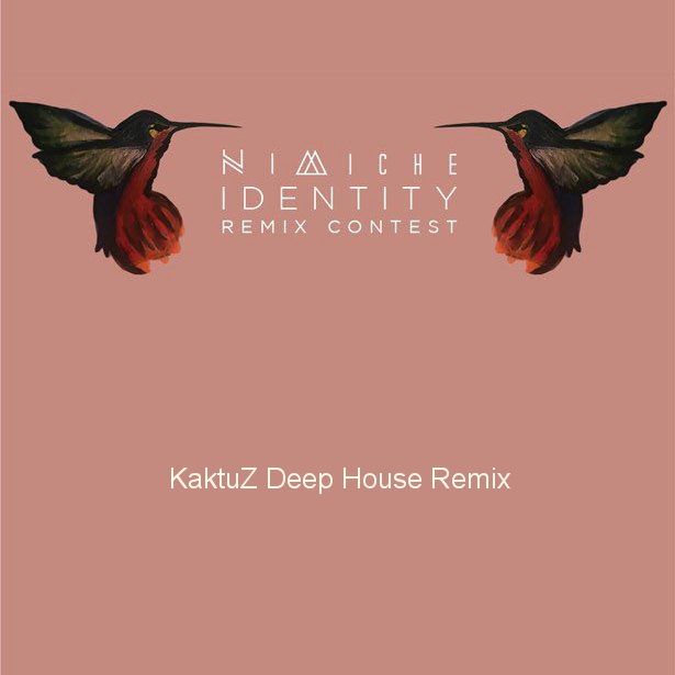 Nimiche - Identity (KaktuZ RemiX)
