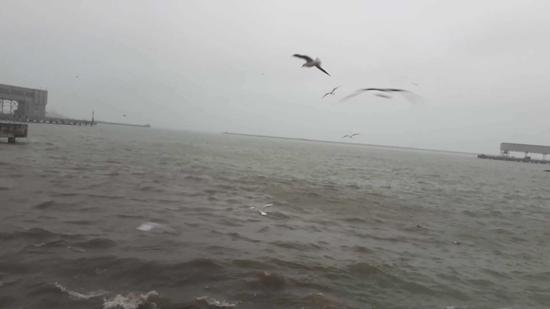 Туапсе 29.01.2022 набережная, шторм, рыбалка на форель.