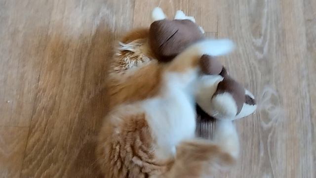 Любимая игрушка Персика