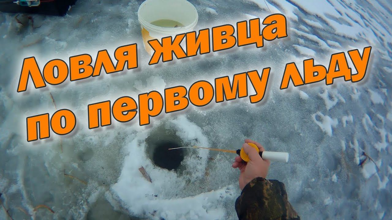 Ловля живца по первому льду