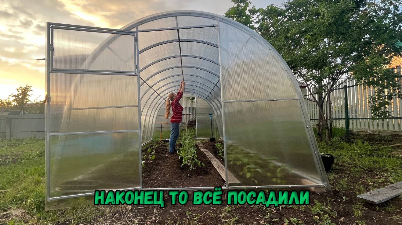 Наконец то всё посадили