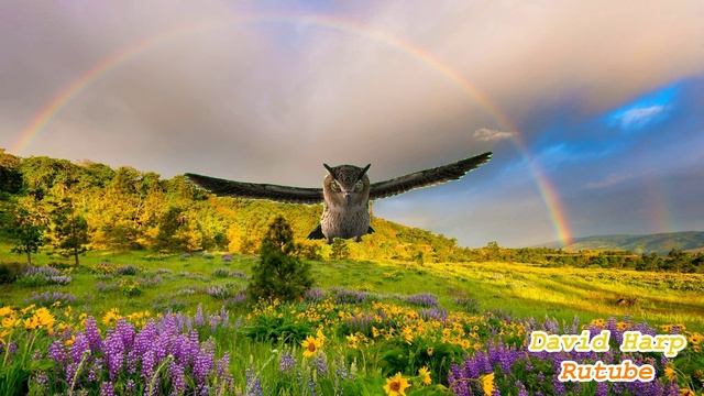 Инструментальная музыка гитары - Parijat (лучшие композиции)