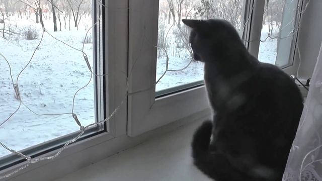 Как мы растили внуков ч-9.mp4