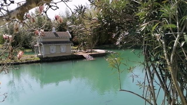 Красивейший парк с лебедями в Сочи.