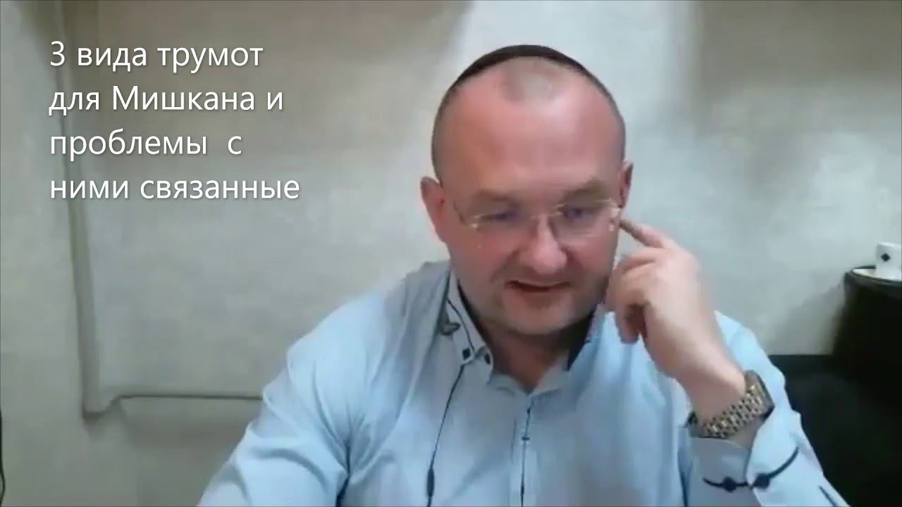 3 вида возношений для Мишкана и какие из них были добровольными? Недельная глава Трума