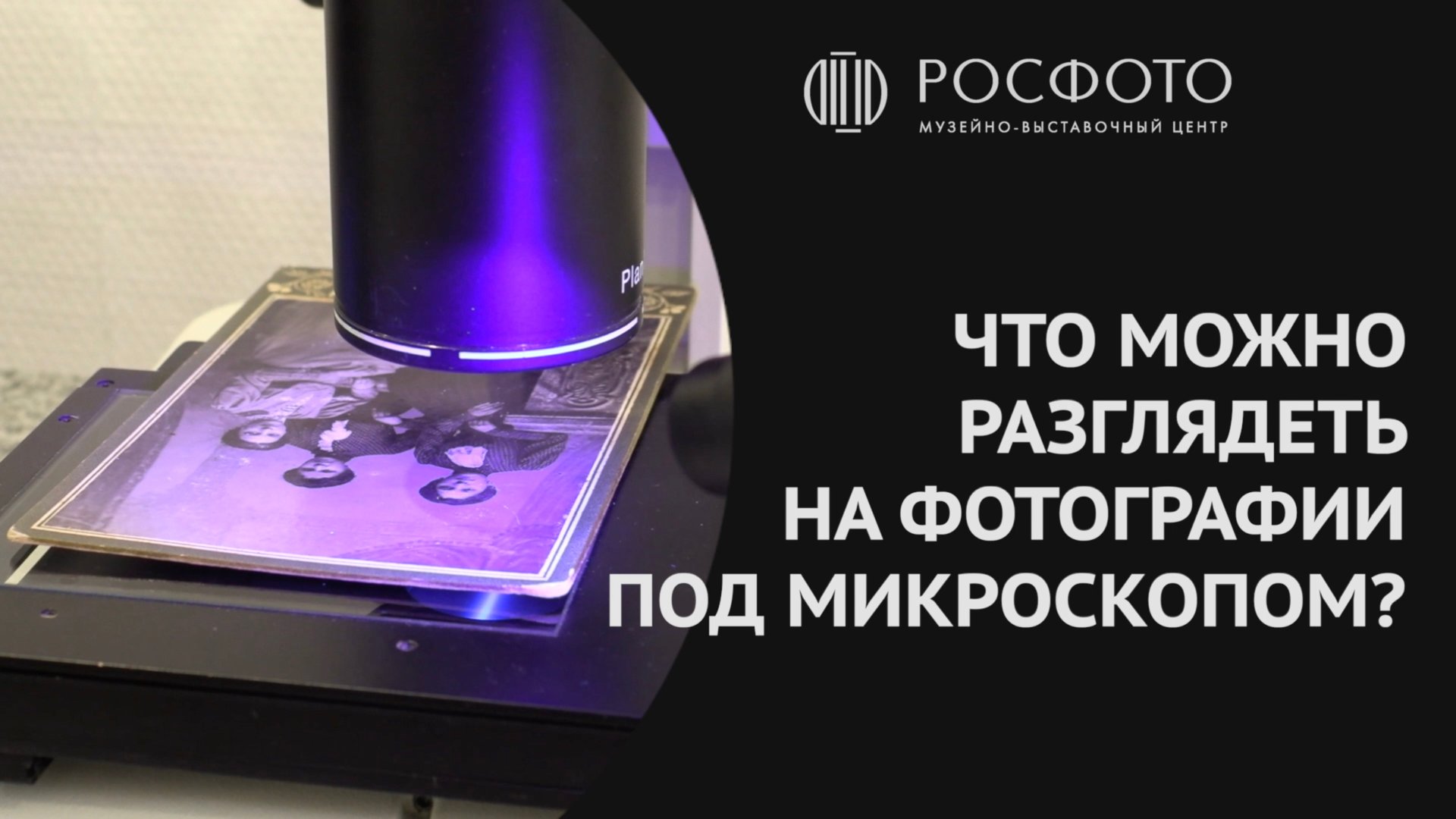 Что можно разглядеть на фотографии под микроскопом?