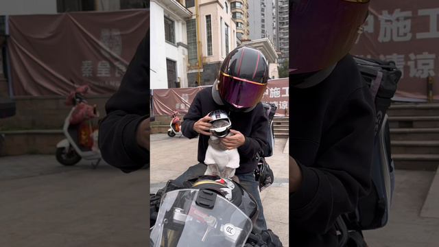 26-03-2024 кот байкер