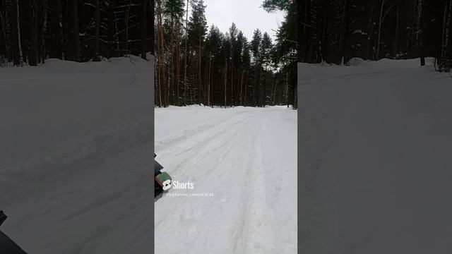 Мотособака с лыжным модулем (1)