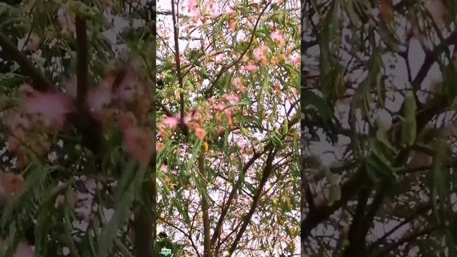 Удачного дня