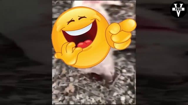 Лучшие приколы на охоте.