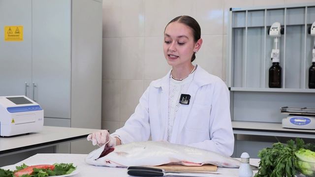 Как правильно выбирать красную рыбу?