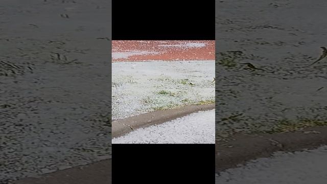 Тополиный пух жара июль