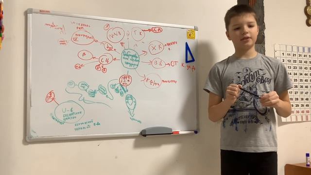 Видеоурок 2. Образование первых государств