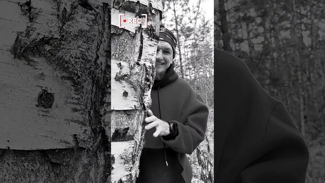 Вот это действительно проблема ? #приколы