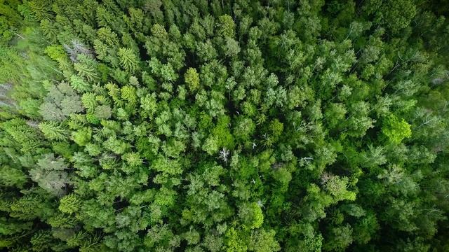 Инновации начинаются с идеи