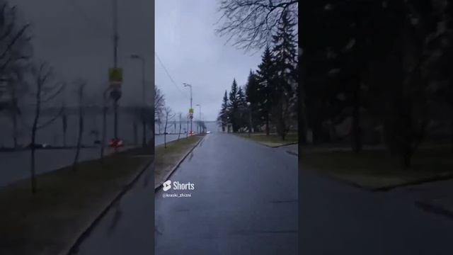 Когда пересекаются личные и  профессиональные интересы #расстановкивКарелии #расстановки #птз