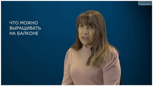 Огород на подоконнике: инструкция для новичков.mp4