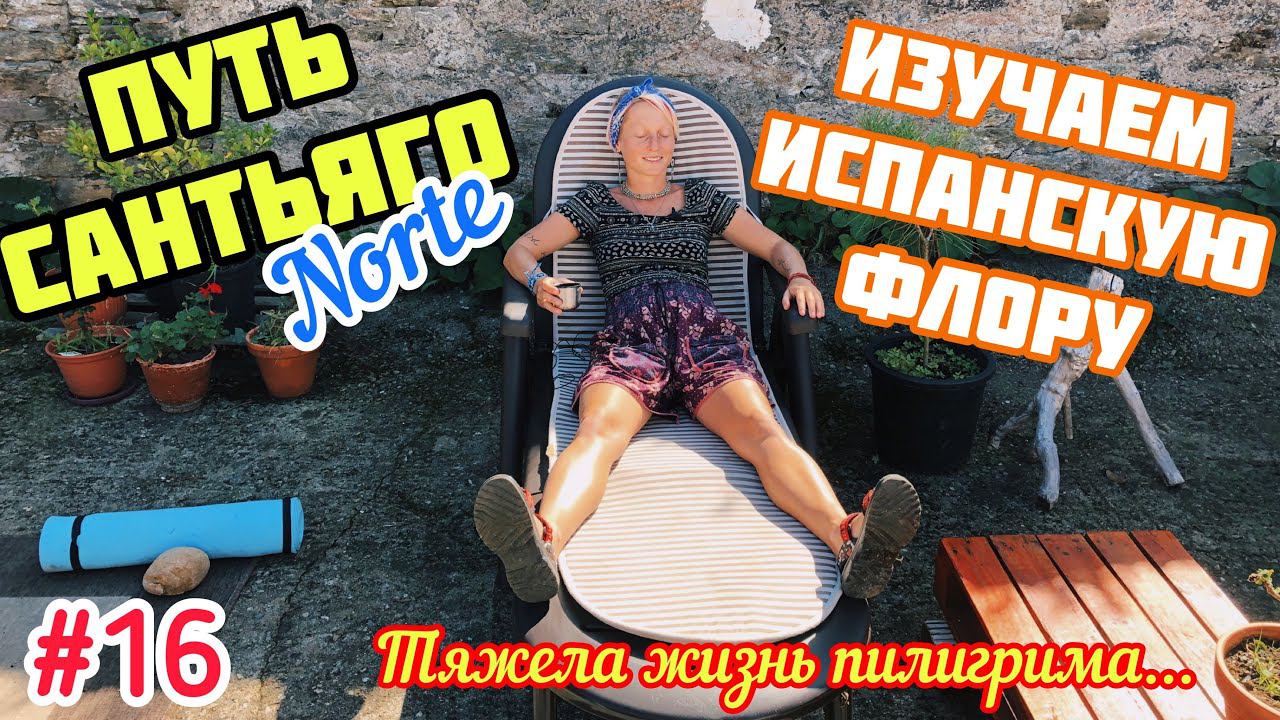 #16 ПУТЬ САНТЬЯГО Норте | Изучаем испанскую флору