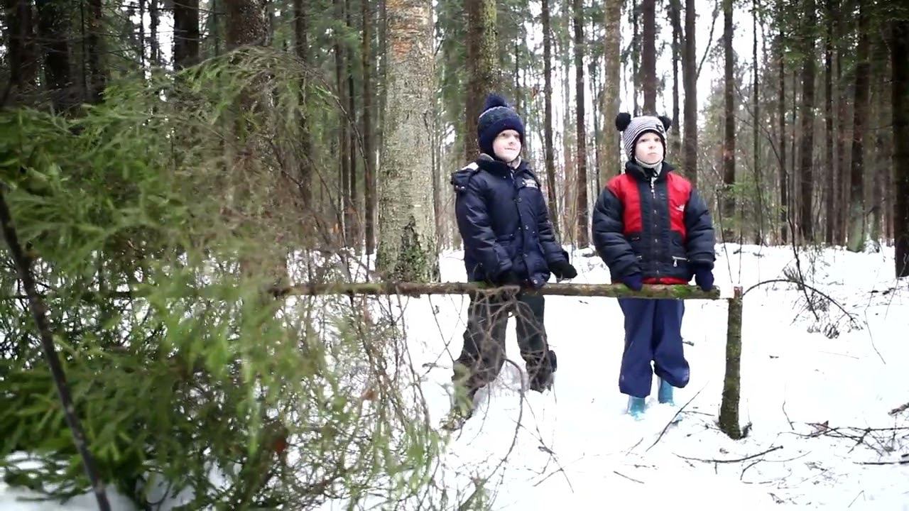 27.12.2023. Ёлка ёлка